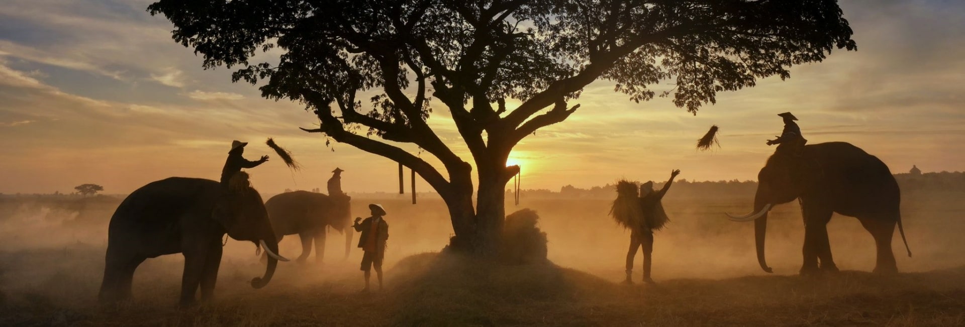 Surin Travel Guide - When to visit - What to see & do - Where to stay