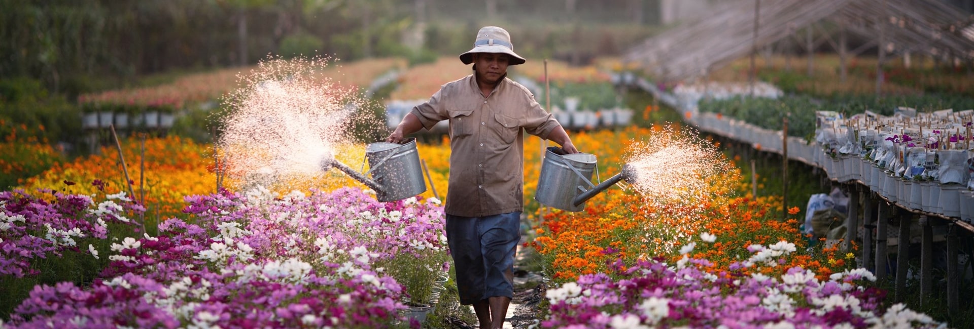 Sadec (Sa Dec) Travel - When to visit - What to see & do - Where to stay