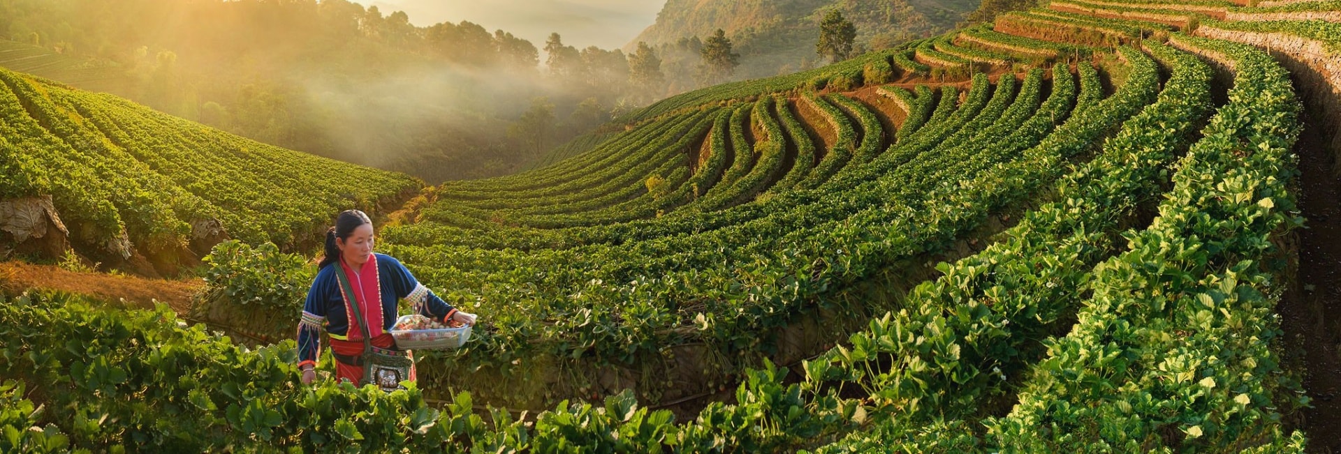 30-Day Thailand Insight Tour | travel itinerary 4 weeks | Sonasia Holiday