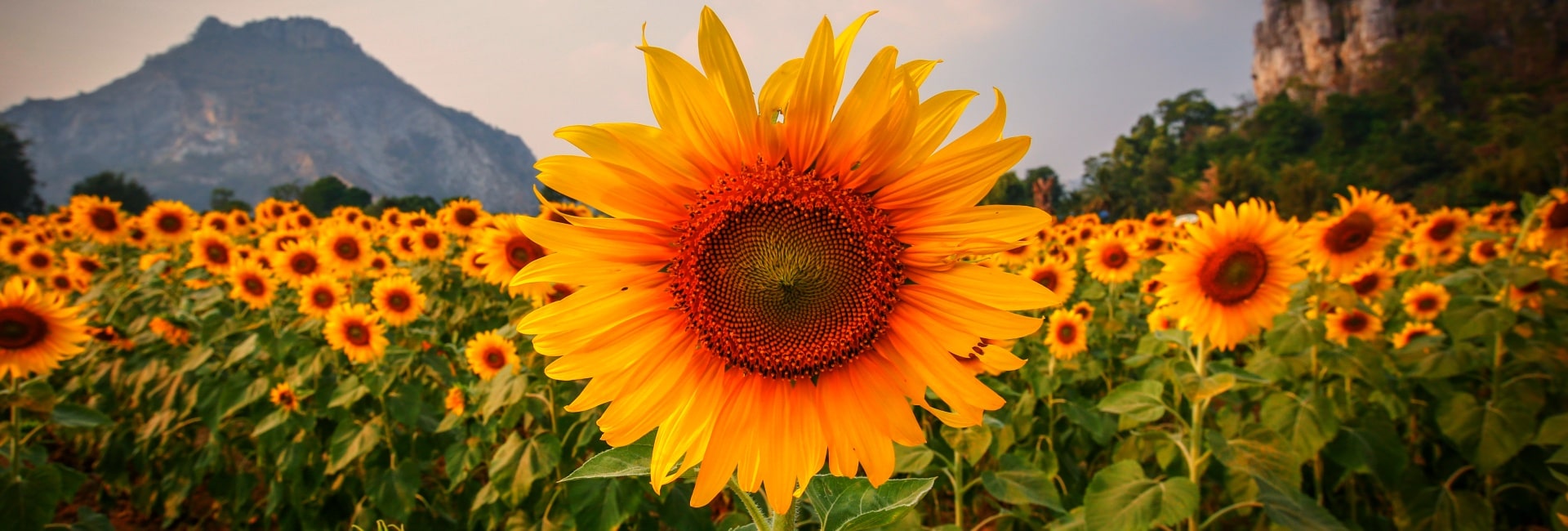 Saraburi Travel - When to visit - What to see & do - Where to stay