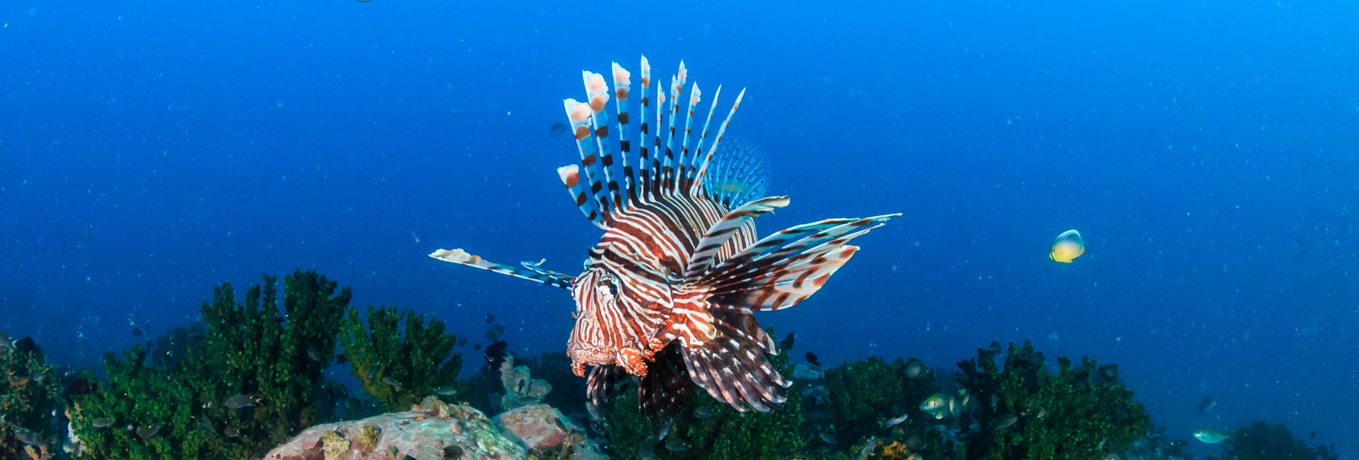 Mergui Archipelago - When to visit - What to see & do - Where to stay