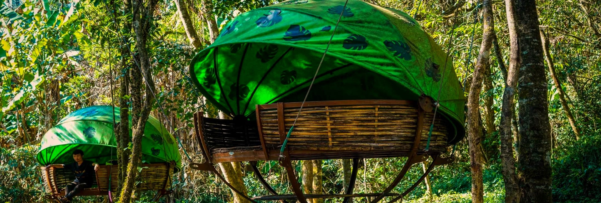 Wildlife Interaction in Laos - Sonasia Holiday