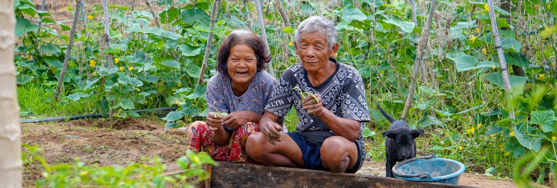 Sekong Travel - When to visit - What to see & do - Where to stay